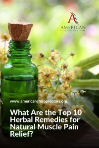 What Are the Top 10 Herbal Remedies for Natural Muscle Pain Relief ...